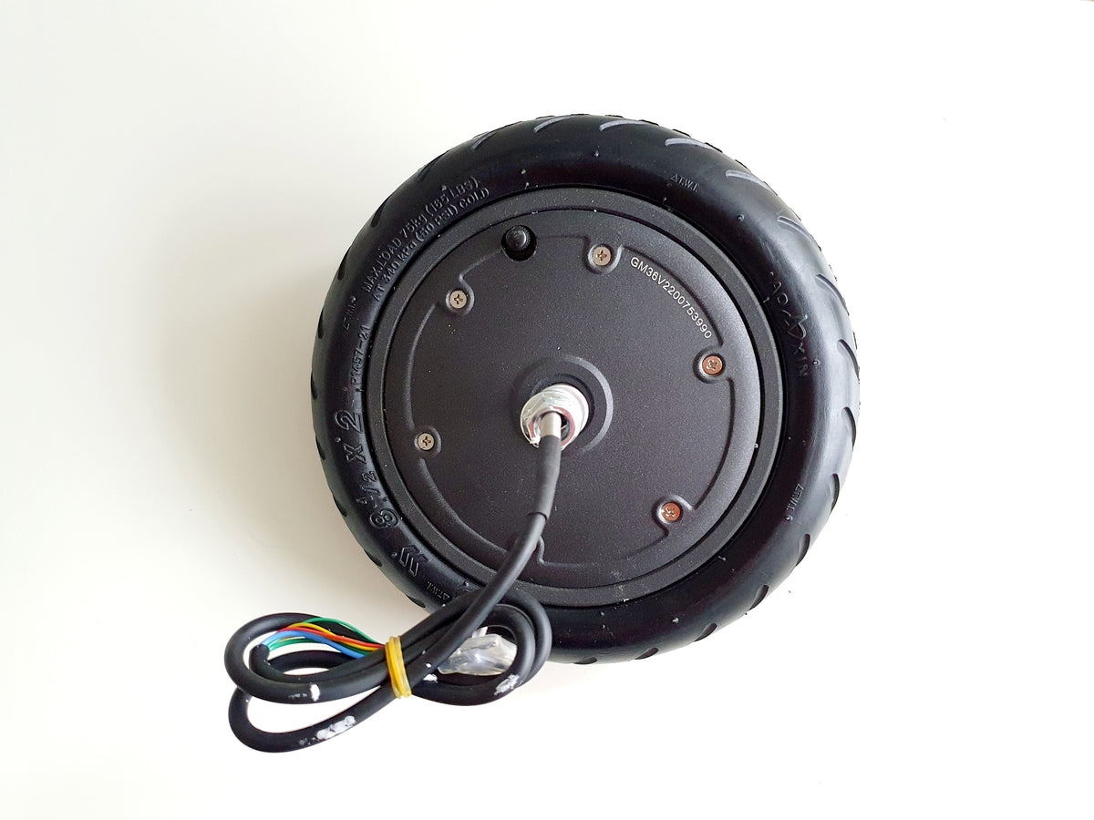 Motor with ring 350W - Xiaomi M365 / 1S / Essential / 3 – eWay